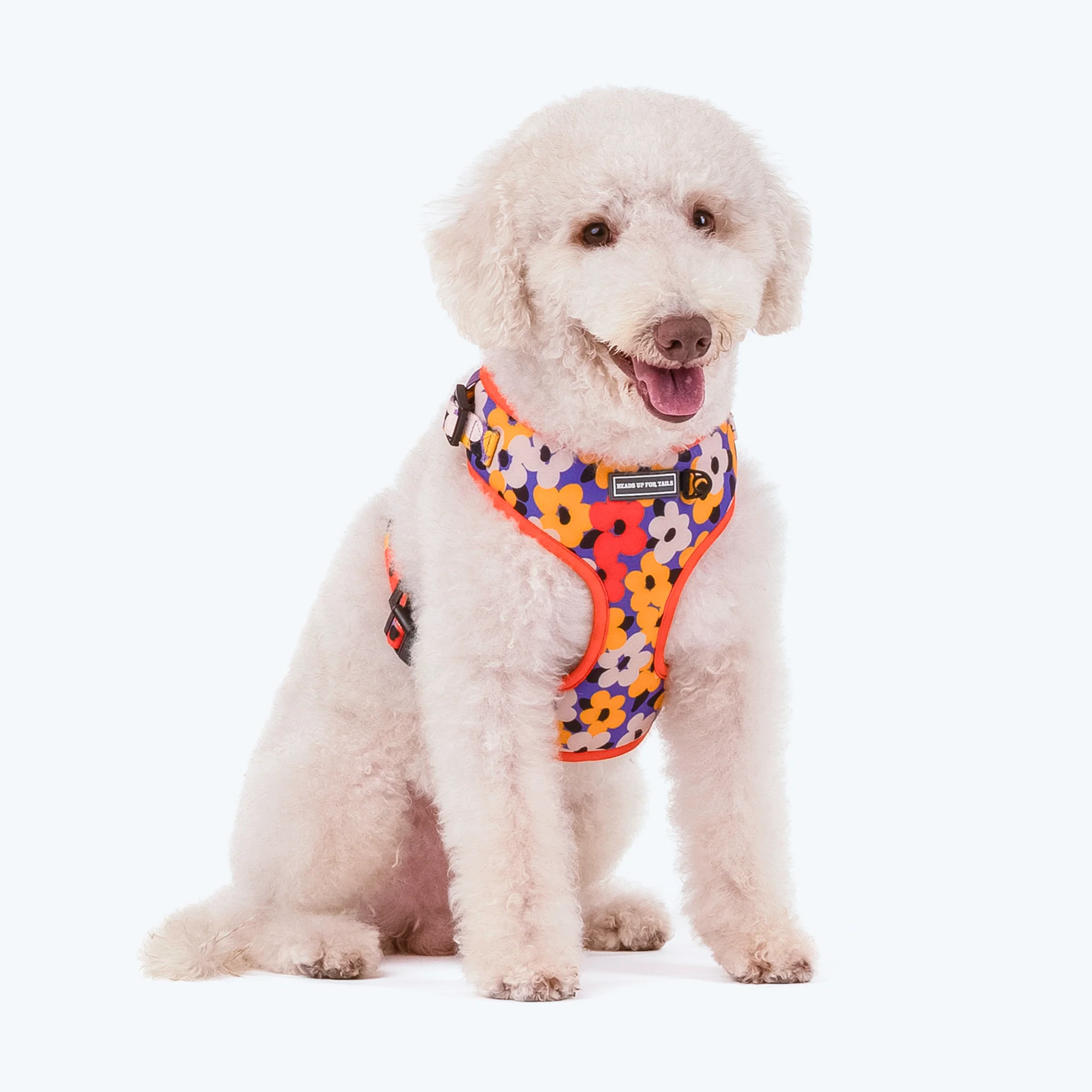 Petx | Pet Care & Pet Shop Website Template